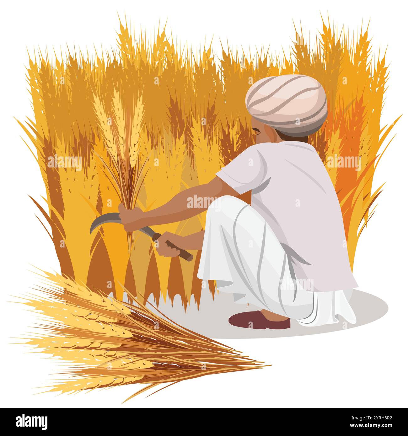 farmer harvesting wheat crops, indian agriculture Stock Vector Image & Art - Alamy