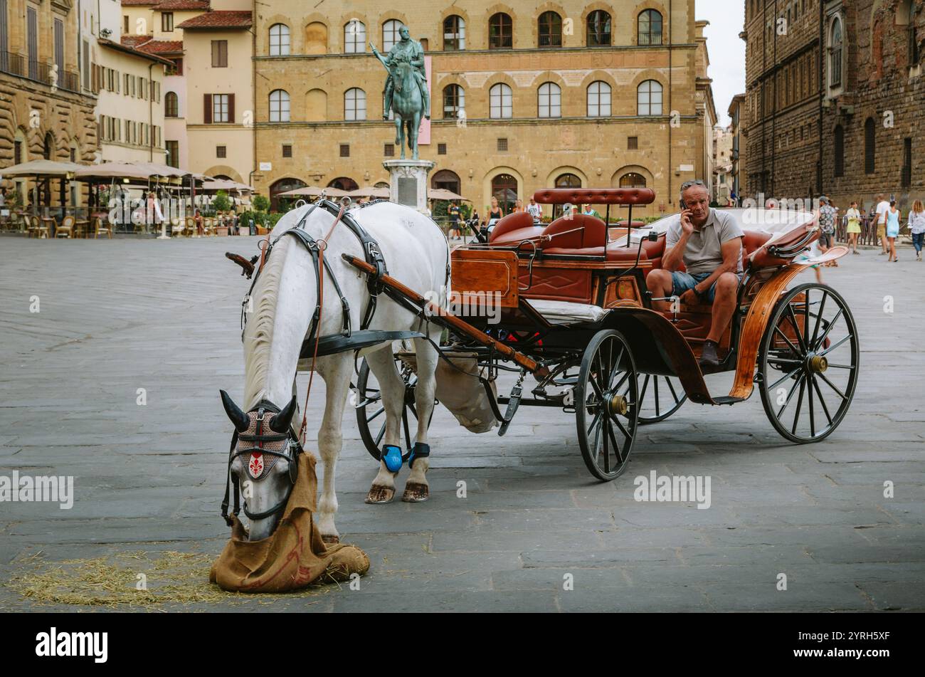 Coachman using his mobile phone while sitting on his horse carriage and ...
