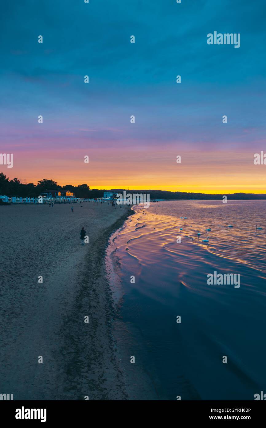 Twilight swans and beach hi-res stock photography and images - Alamy