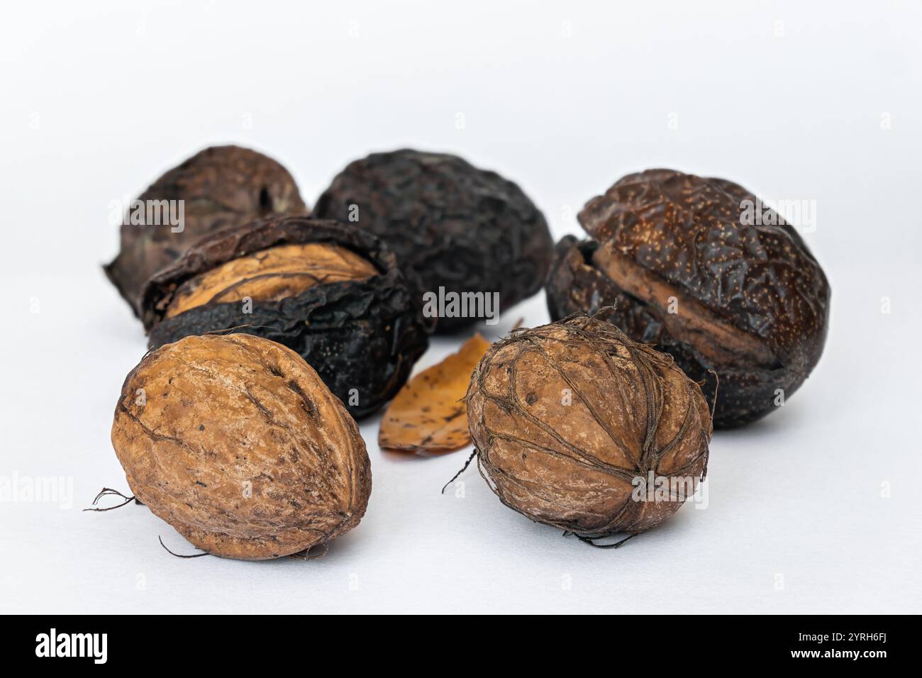 Walnuts in shell isolated on white background Stock Photo - Alamy