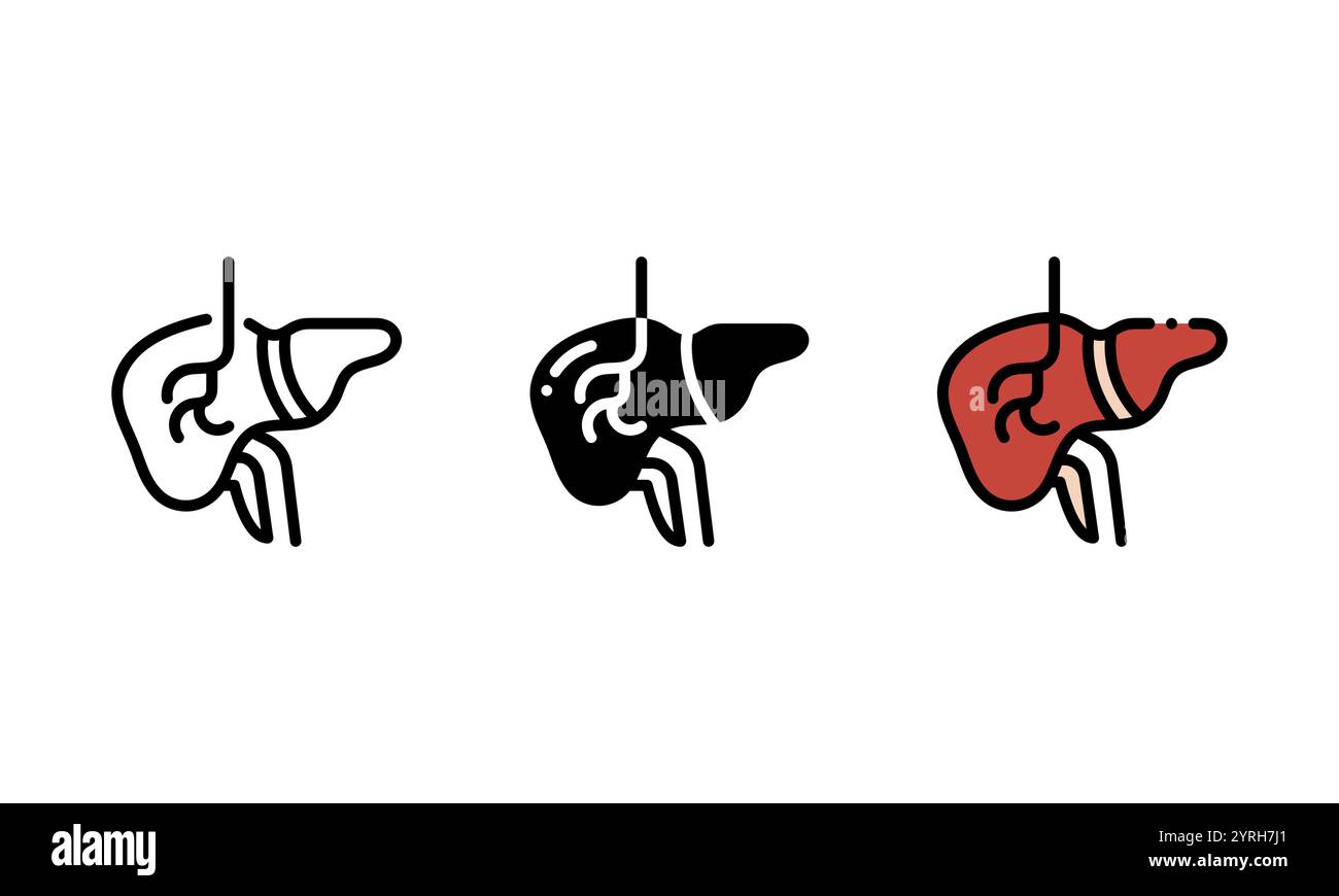 Human anatomical liver Icon. vector icon with outline, glyph, and ...
