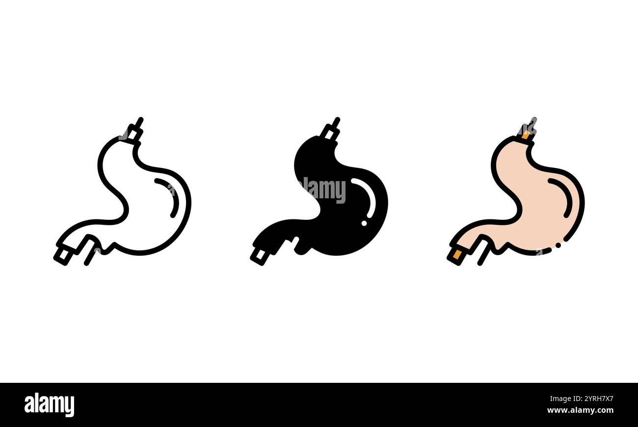 Human anatomical stomach icon. vector icon with outline, glyph, and ...