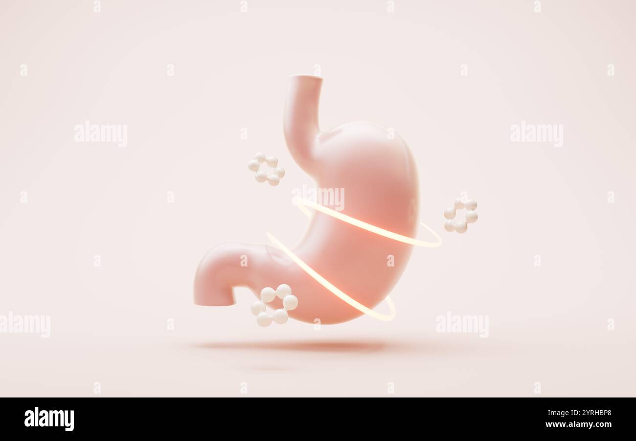 Nutrient absorption system hi-res stock photography and images - Alamy