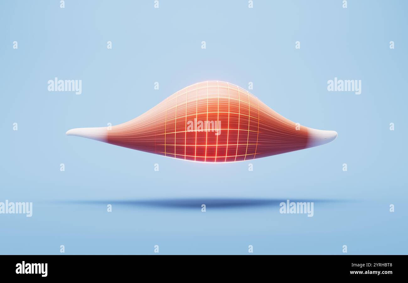 Muscle structure, medical concept visualization, 3d rendering. 3D ...