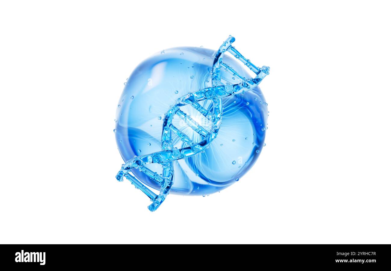 Transparent DNA and water bubbles underwater, 3d rendering. 3D ...