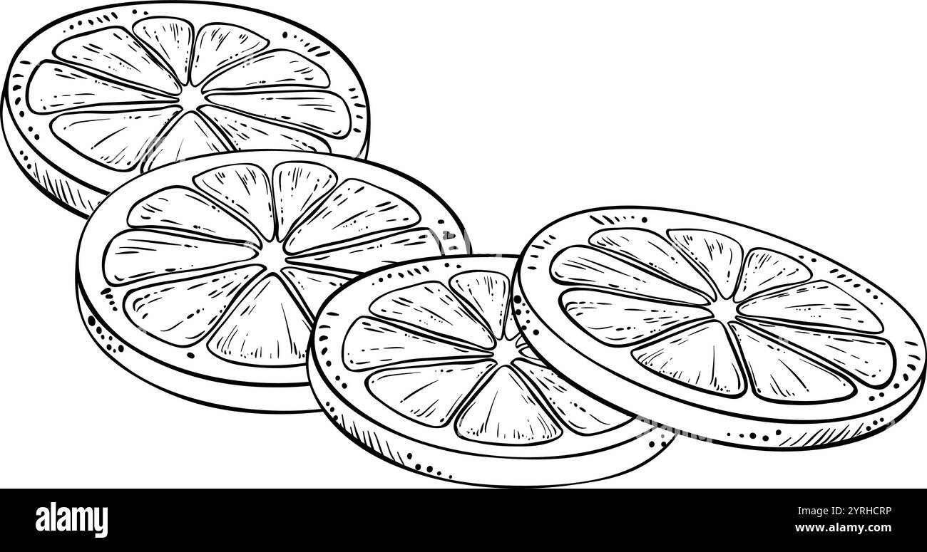 Lemon Fruit Isolated Outline Illustration Stock Vector Image & Art - Alamy