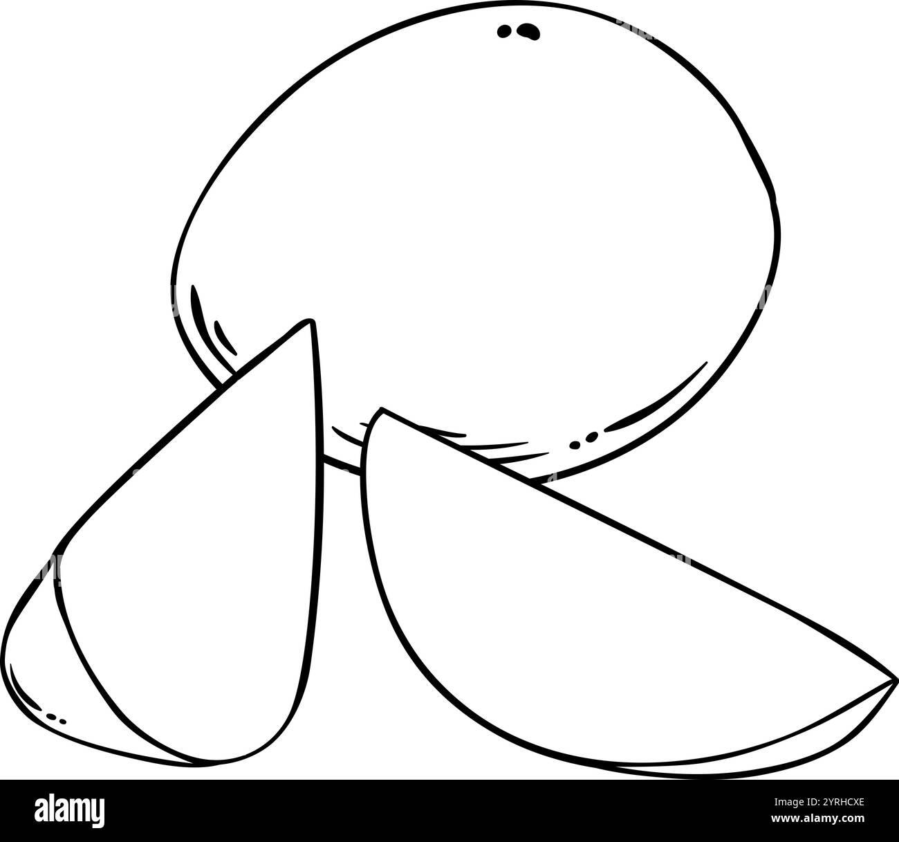 Mango Fruits Isolated Outline Illustration Stock Vector Image & Art - Alamy