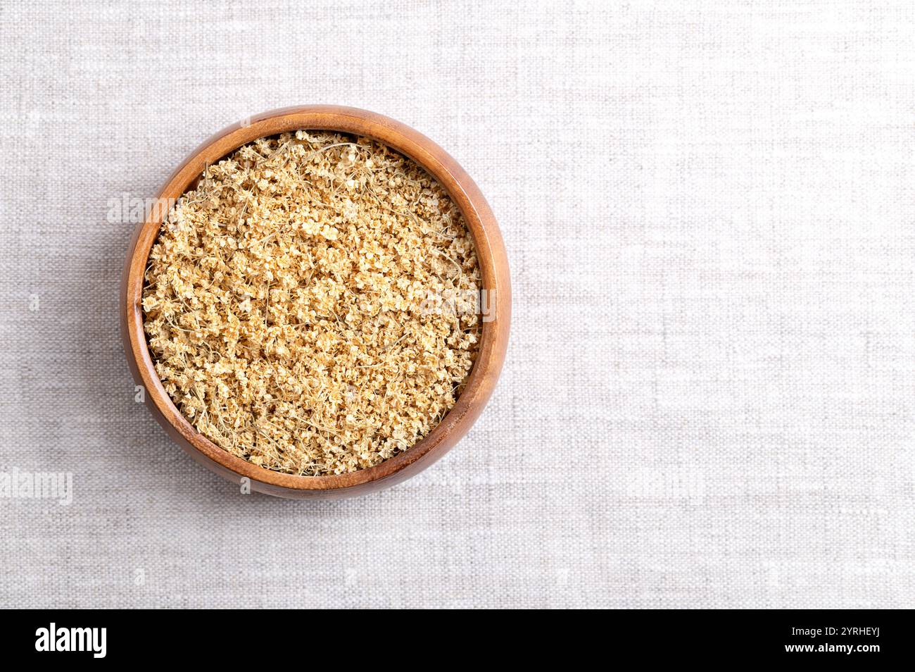 European elder hi-res stock photography and images - Alamy