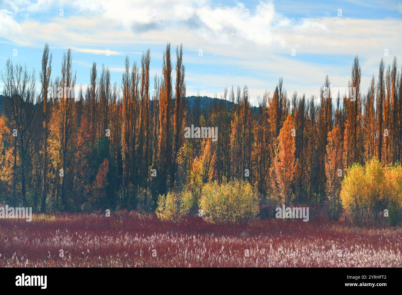 Bask in the golden hues of autumn in Canamares and Canizares, Cuenca ...