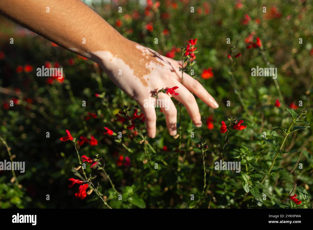A serene moment at the university campus captures a mixed-race woman ...