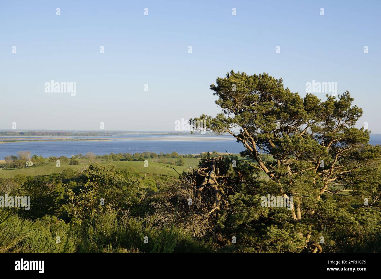 green and blue landscape view on Island Hiddensee in Mecklenburg ...