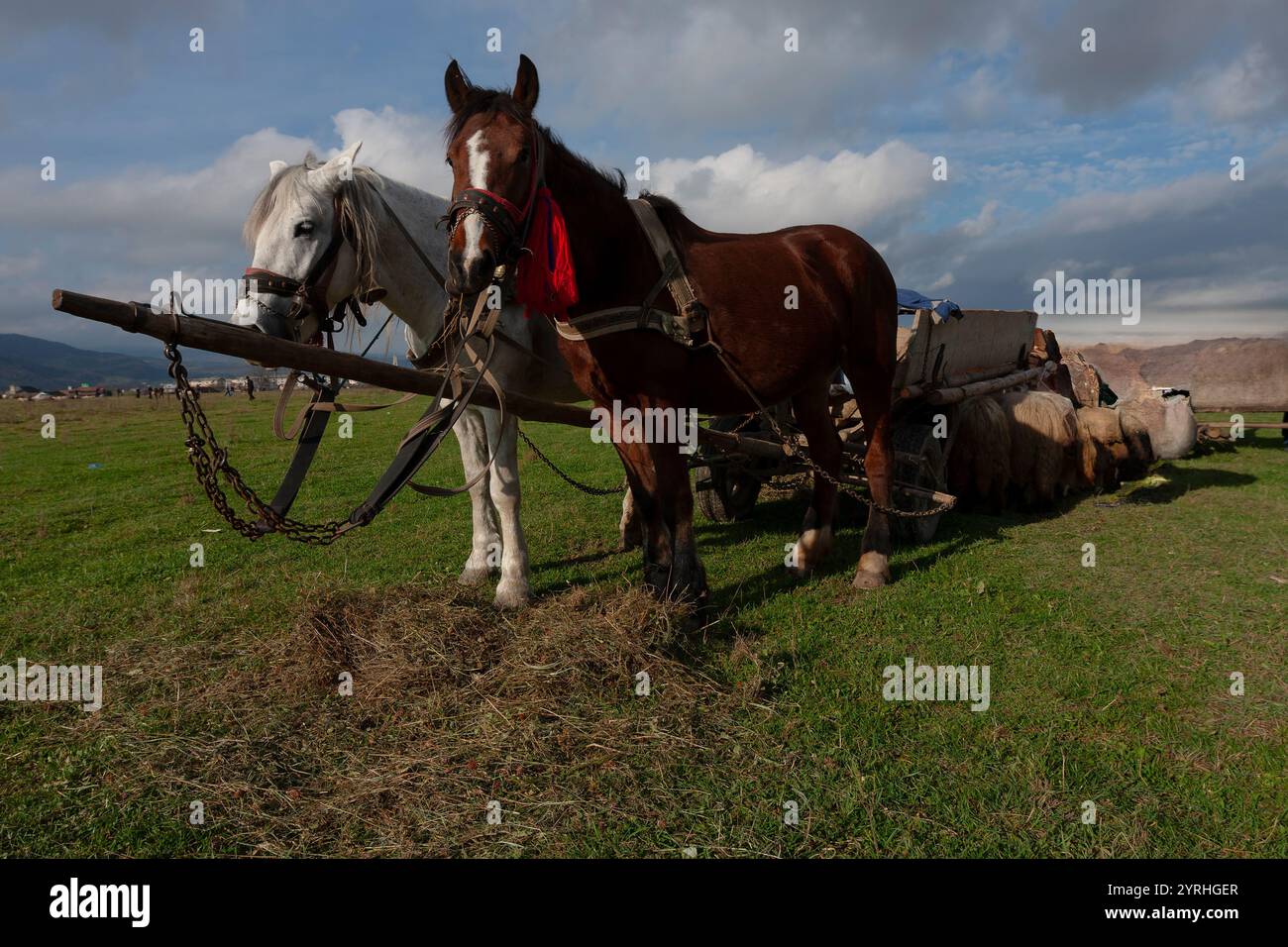 This image captures the essence of traditional rural life in Maramures ...