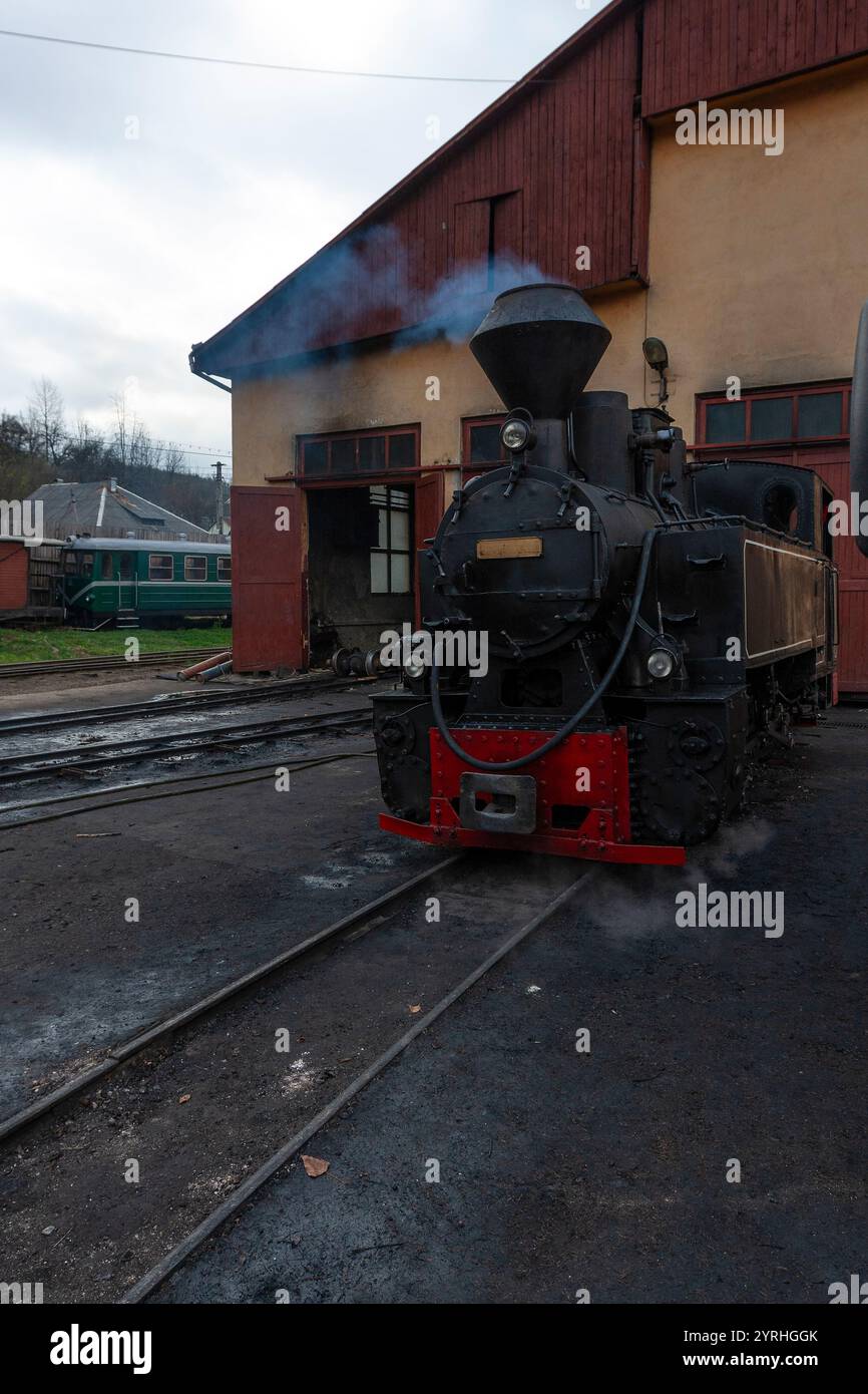 A historic steam train rests at a rustic station in Maramures, Northern ...