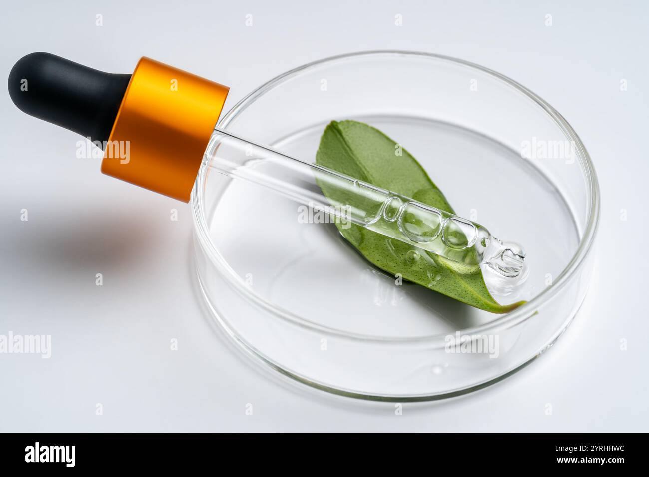A glass dropper lies on a green leaf inside a transparent petri dish ...