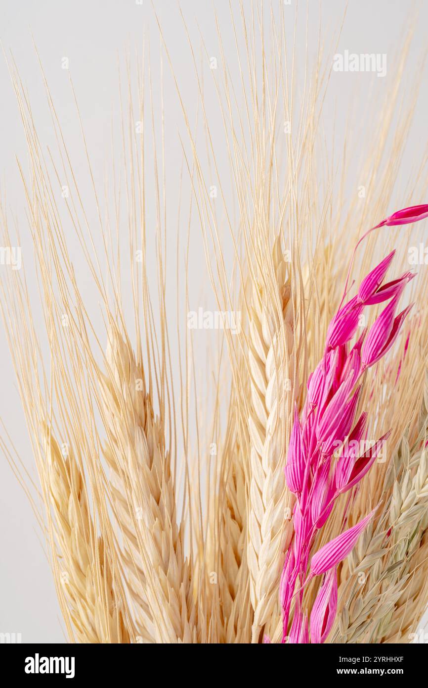 Minimalist wheat texture hi-res stock photography and images - Alamy