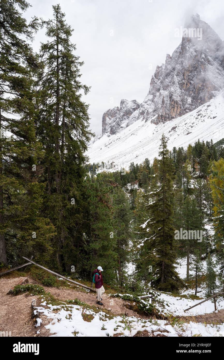 A lone hiker explores a peaceful, snowy trail surrounded by dense pine ...