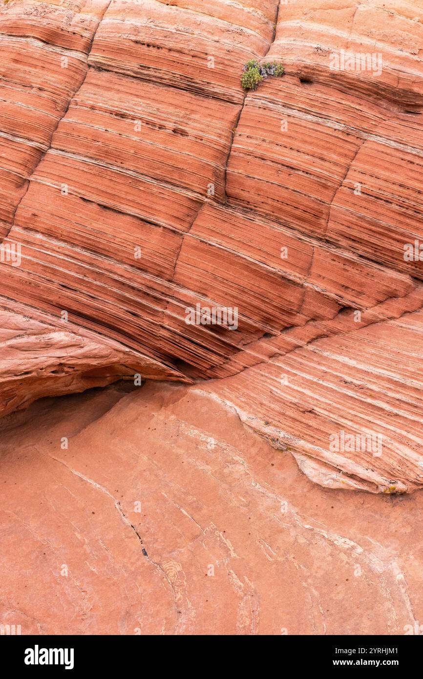 Layered earth revealing geological patterns hi-res stock photography ...