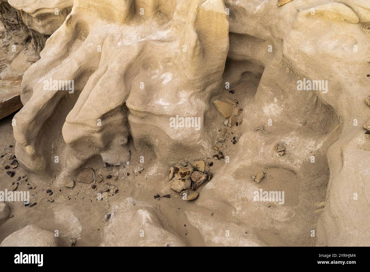 This image showcases the complex and varied textures of natural ...