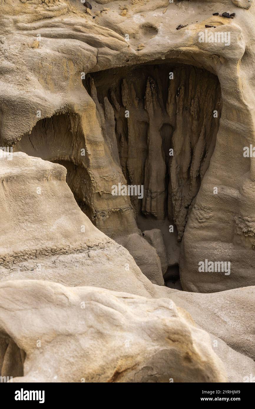 Detailed showcase hi-res stock photography and images - Alamy