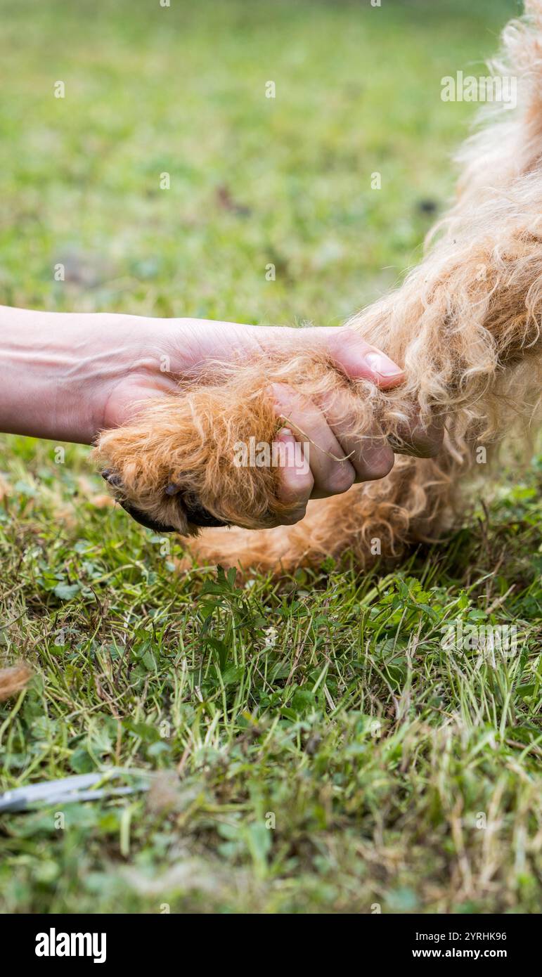 Human con hi-res stock photography and images - Alamy