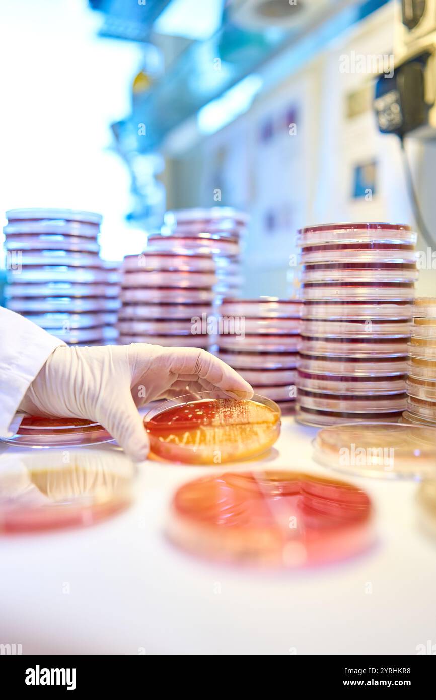 Microbiological lab offering in-depth food and water analysis services ...