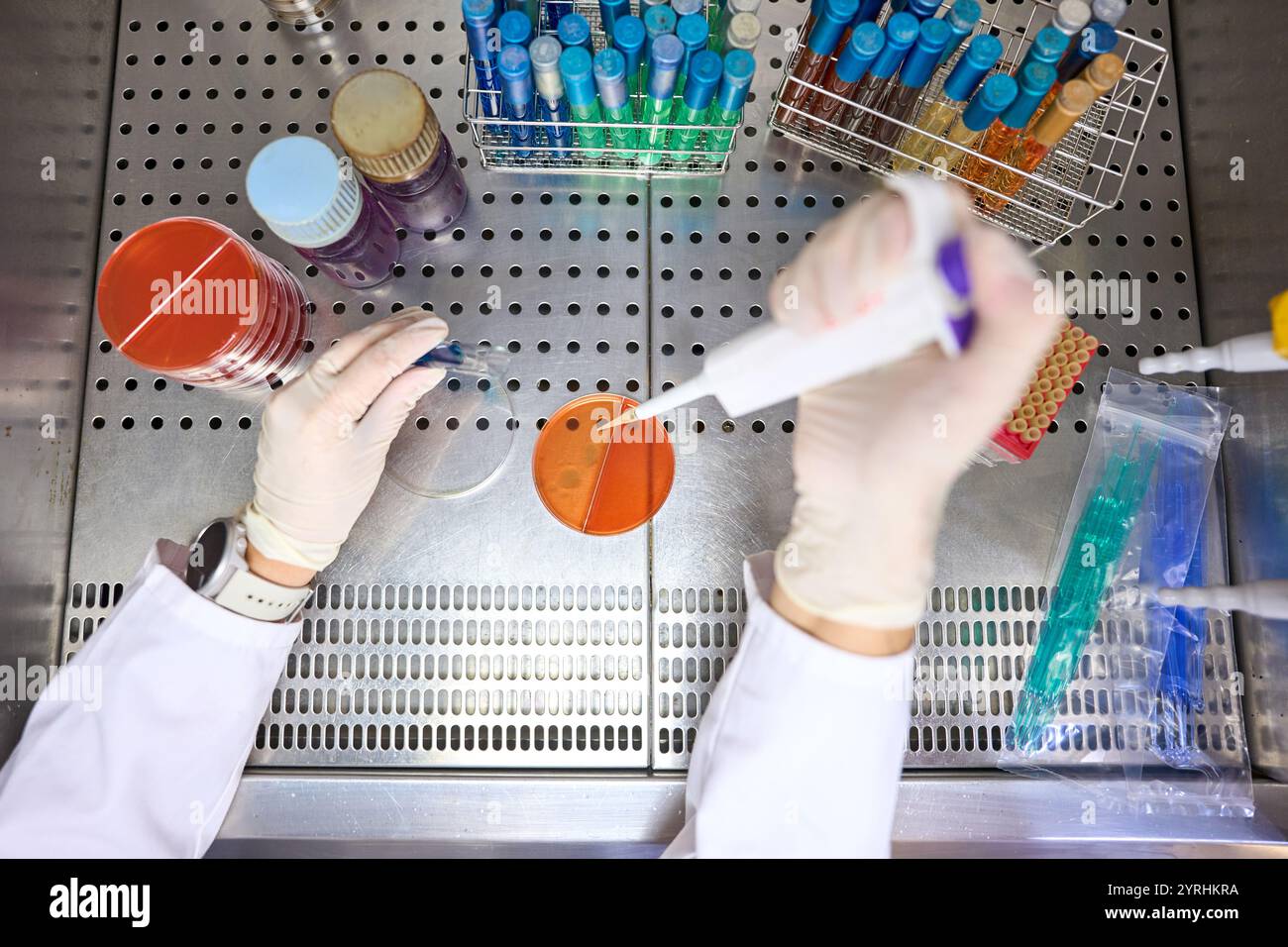 Bacteriologic laboratory offering food and water analysis and hygienic ...