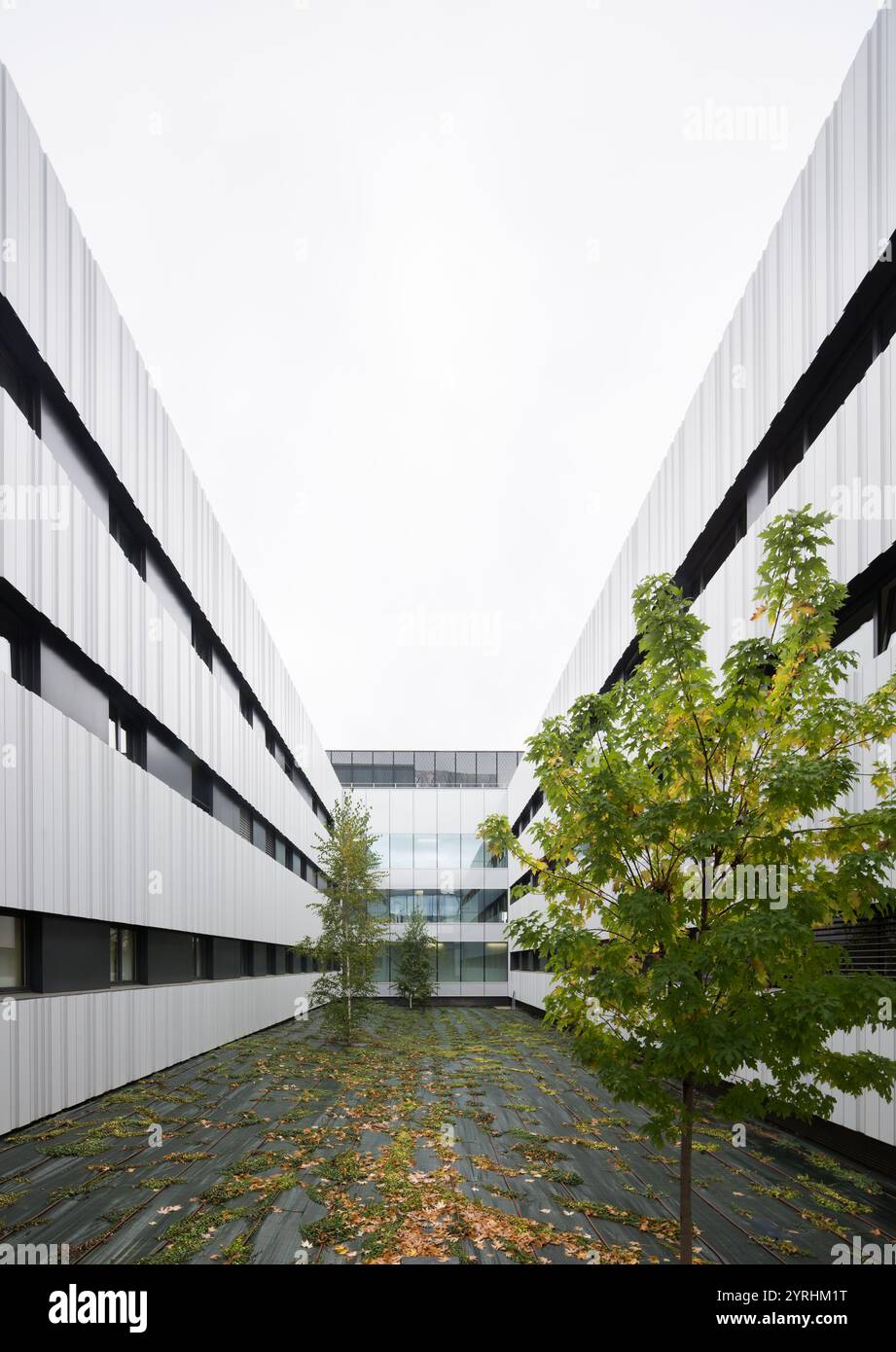 A contemporary hospital courtyard featuring sleek, minimalist ...