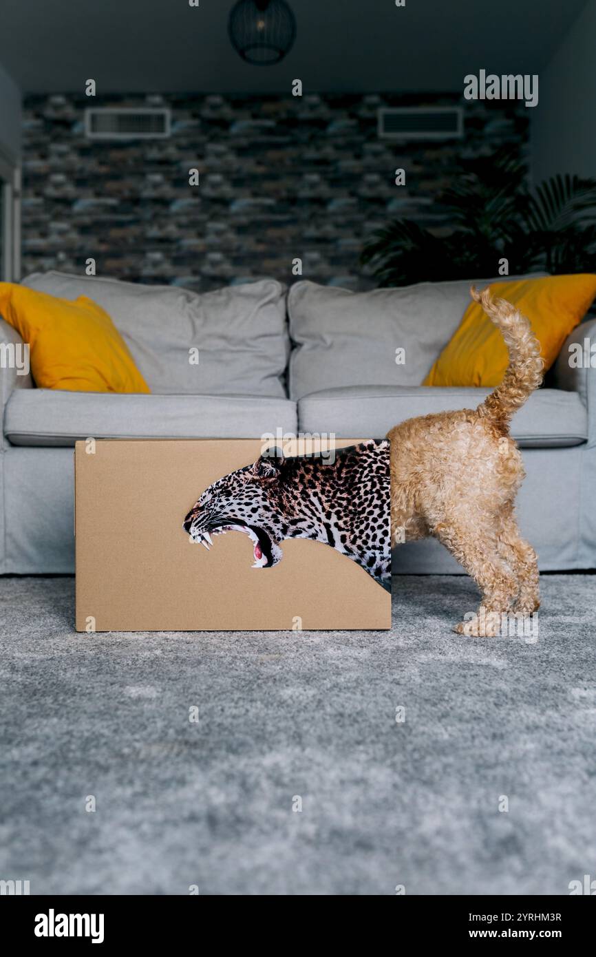 Whimsical scene featuring dog hi-res stock photography and images - Alamy