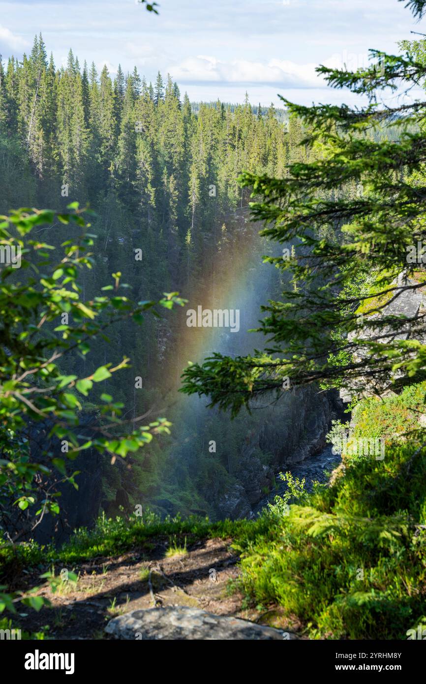 A woman enjoys the stunning wilderness of Swedish Lapland, surrounded ...