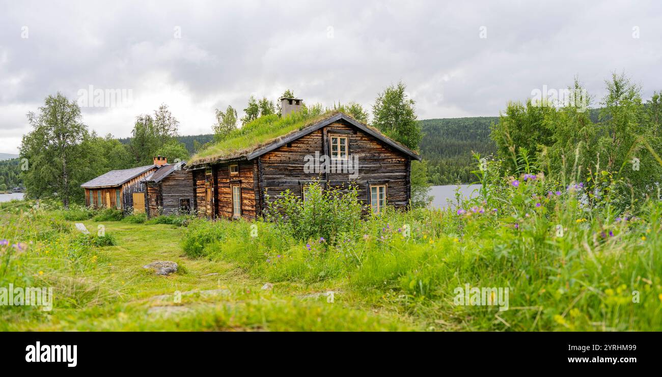 Charming wooden cabins with green roofs nestled in the serene Swedish ...