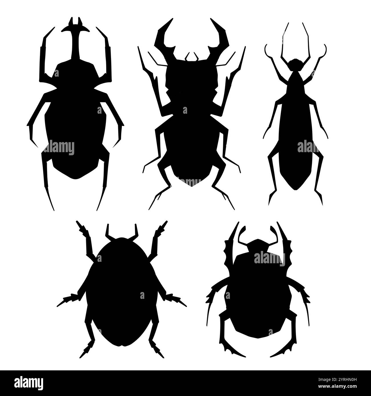 Scarabs Black and White Stock Photos & Images - Alamy
