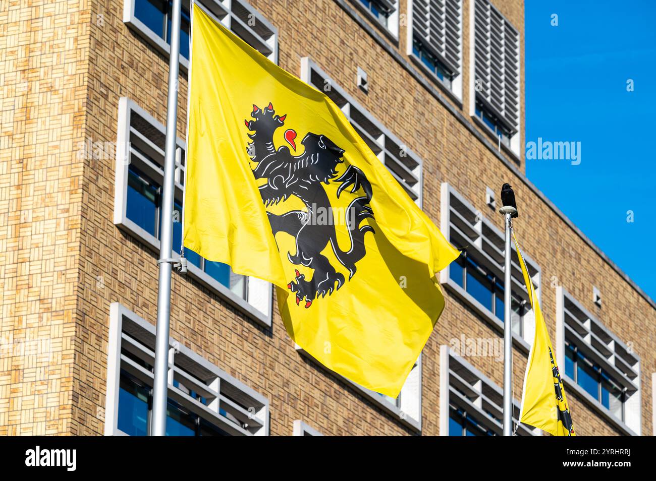 Flemish flags at the Herman Teirlinck building of the Flemish ...