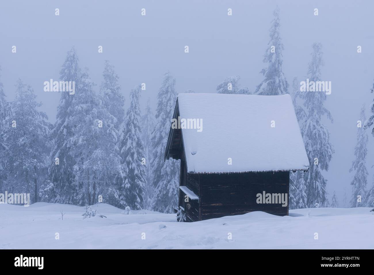 Cold winter scene, heavy snow on mountain hut at rural area. Romantic ...