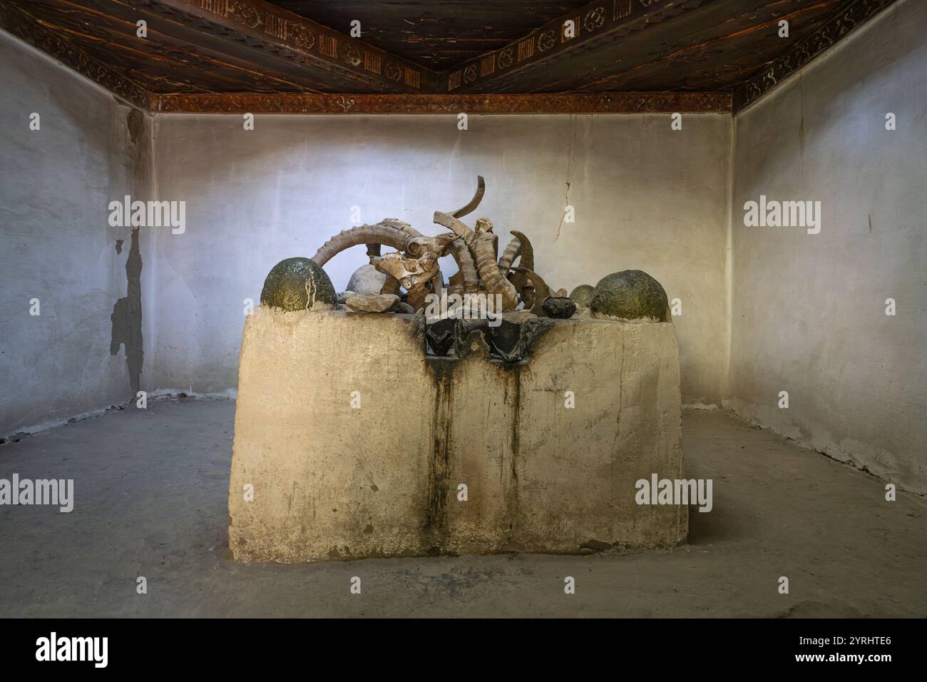 Marco polo sheep horns hi-res stock photography and images - Alamy