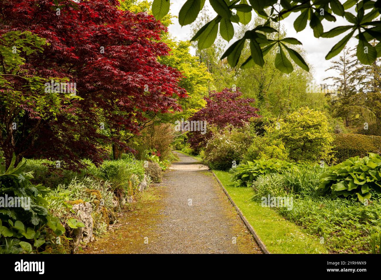 Ireland, County Westmeath, Mullingar, Belvedere House and Gardens ...