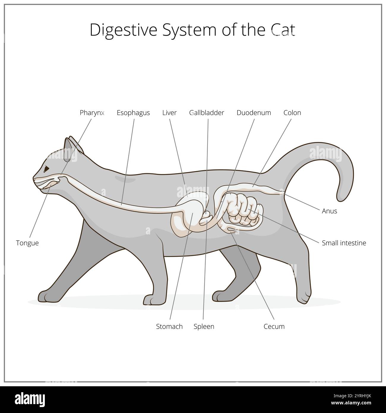 System info Cut Out Stock Images & Pictures - Alamy