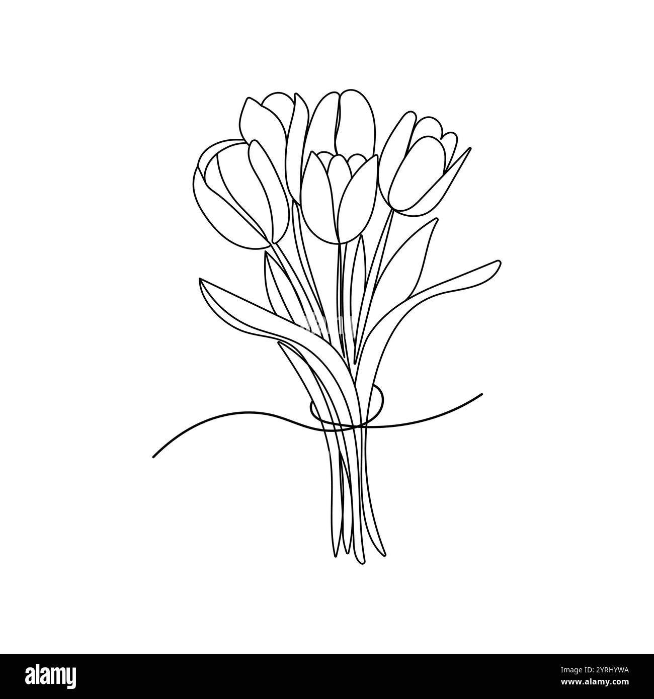 Tulip sketch Black and White Stock Photos & Images - Alamy