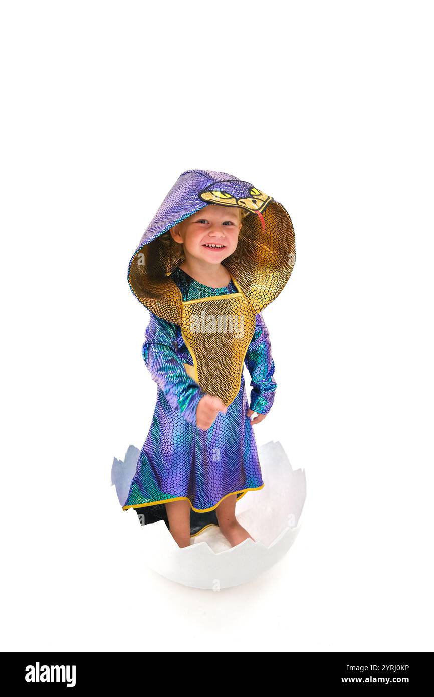 2025 chinese new year snake Cut Out Stock Images & Pictures - Alamy