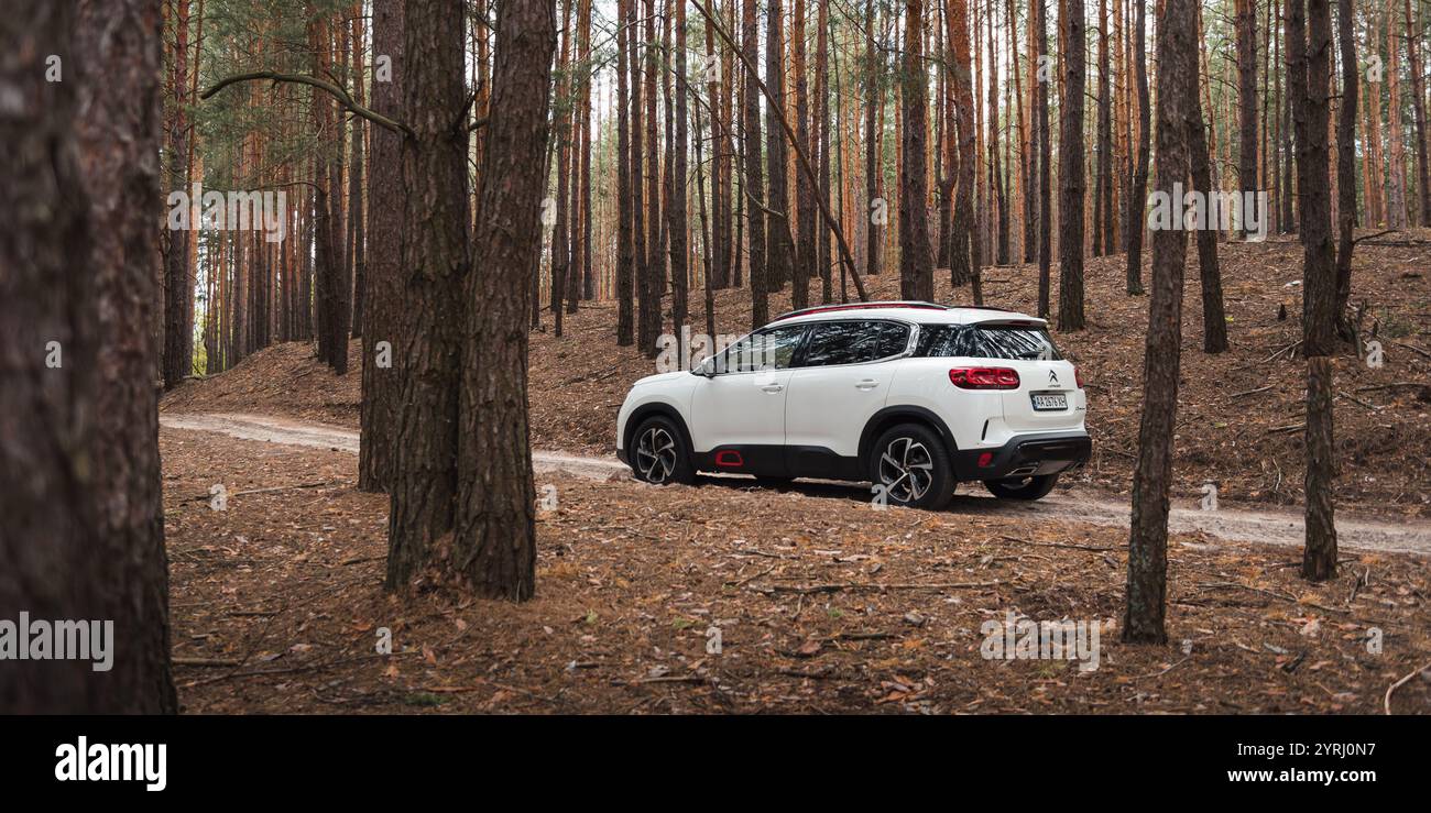 White Citroen C5 Aircross in a forest. Rear three quarter view of ...