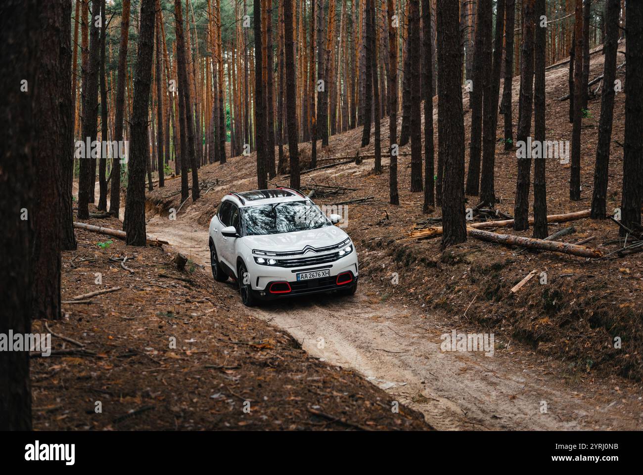 White Citroen C5 Aircross on a dirt road in a forest. Drone aerial view ...