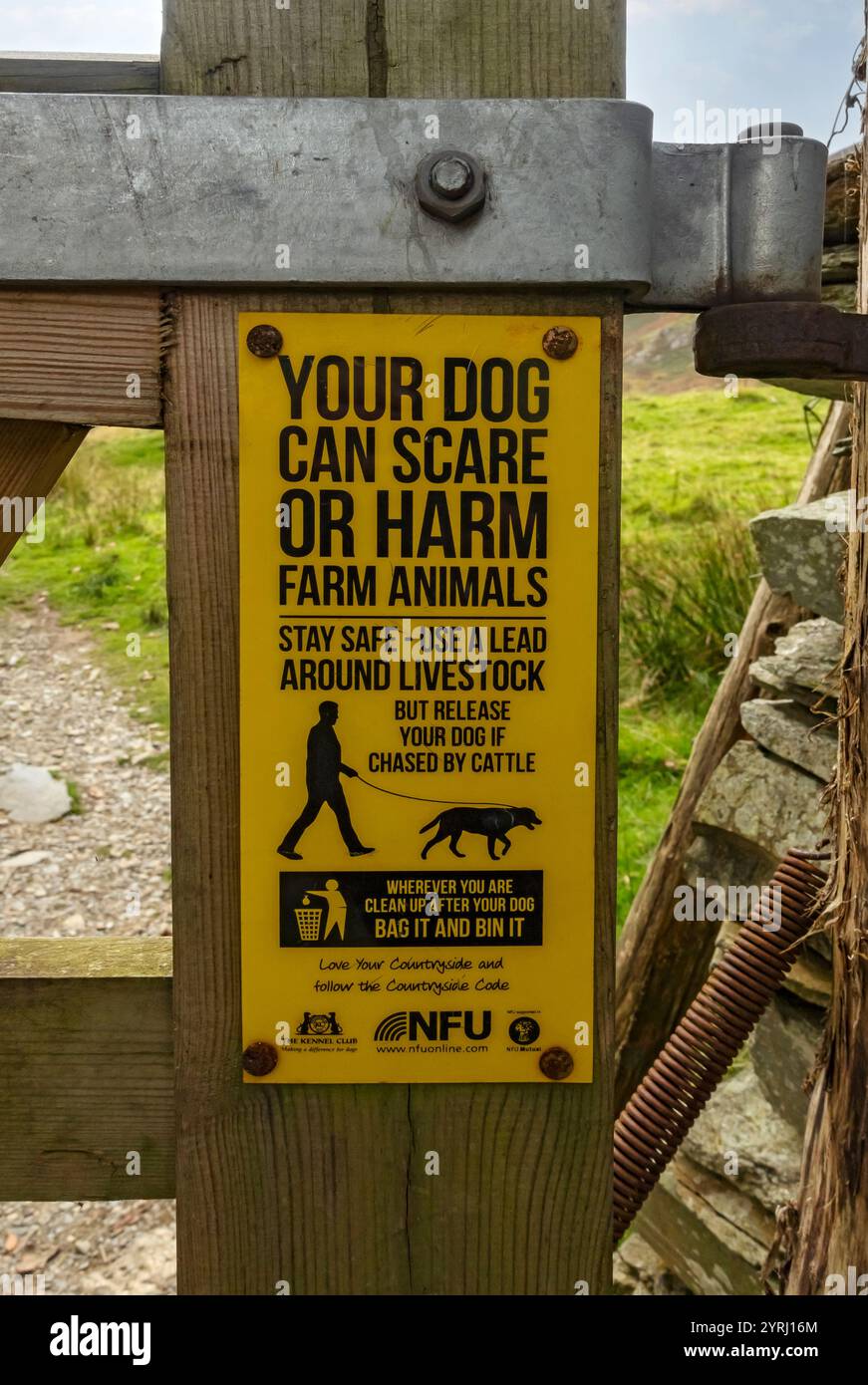 Close gate dog sign hi-res stock photography and images - Alamy