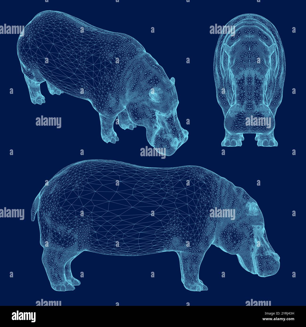 A vector wireframe of a hippopotamus, Vector silhouette of Set Hippo on ...