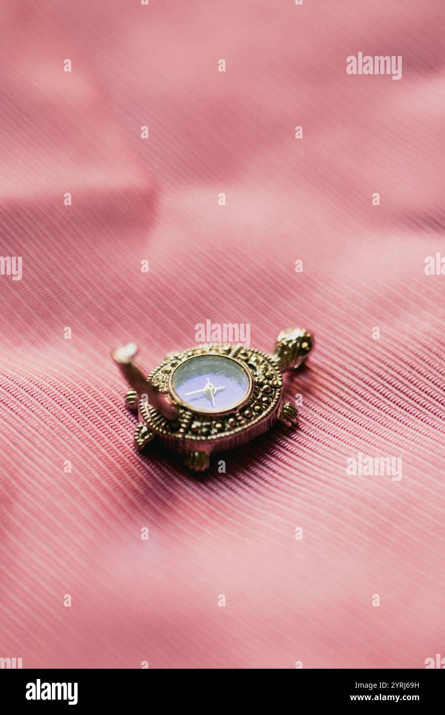 Turtle shaped watch hi-res stock photography and images - Alamy