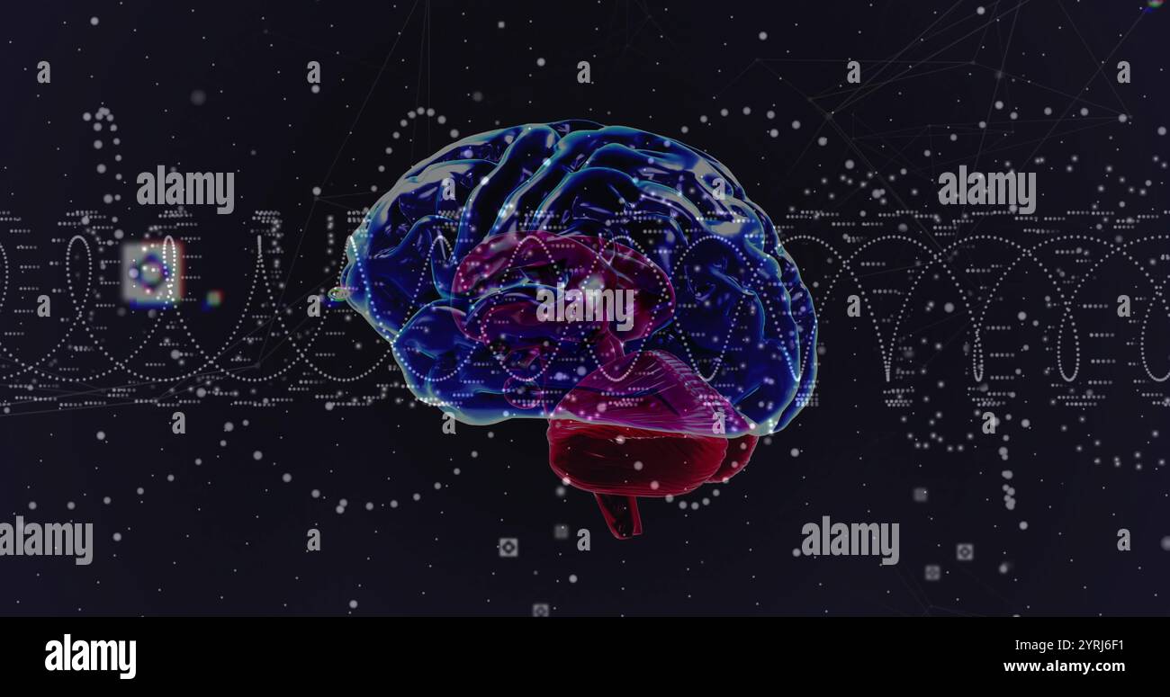 Image of digital data processing, human brain over dna strand spinning Stock Photo - Alamy