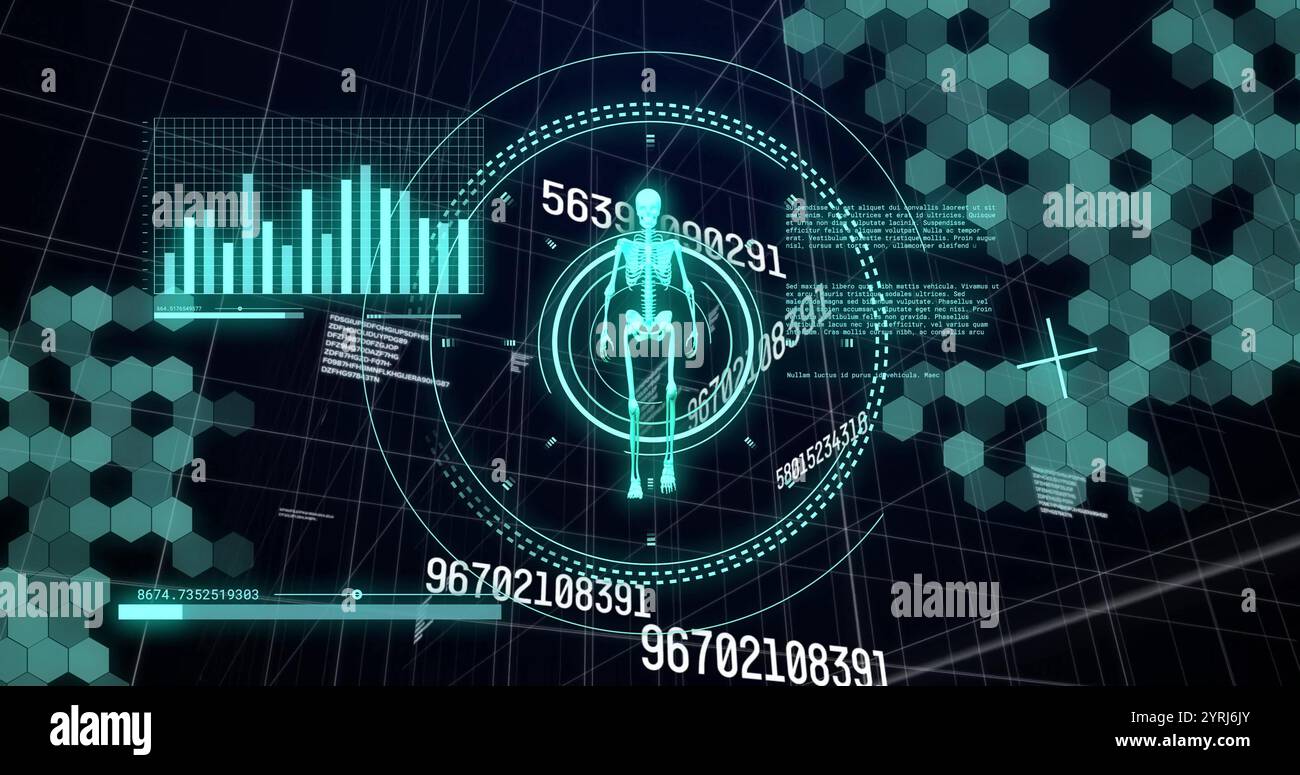 Skeletal system analysis hi-res stock photography and images - Alamy