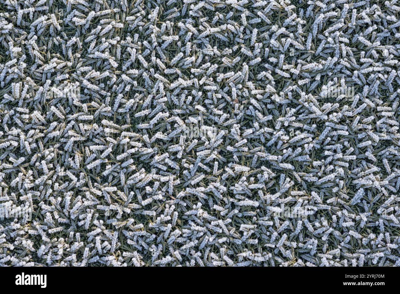 texture of ice crystals on artificial turf Stock Photo - Alamy