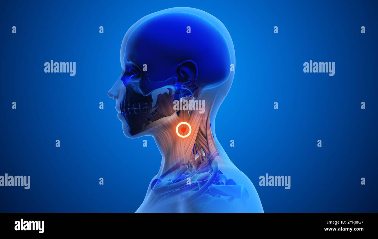Pressure Point Below Ear for Swelling Stock Photo - Alamy