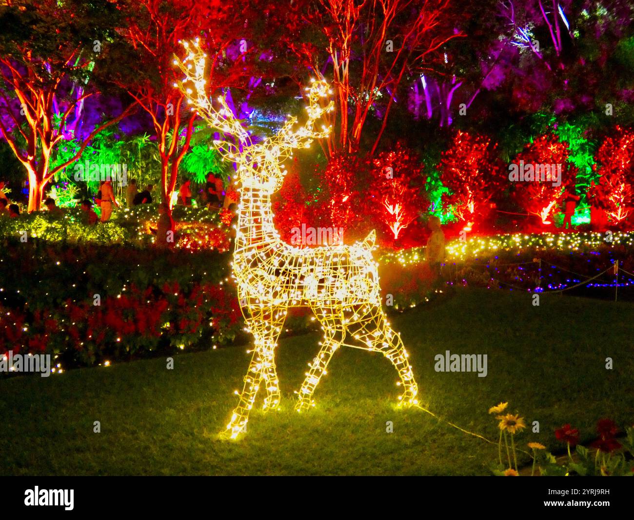 Deer aesthetic hi-res stock photography and images - Alamy