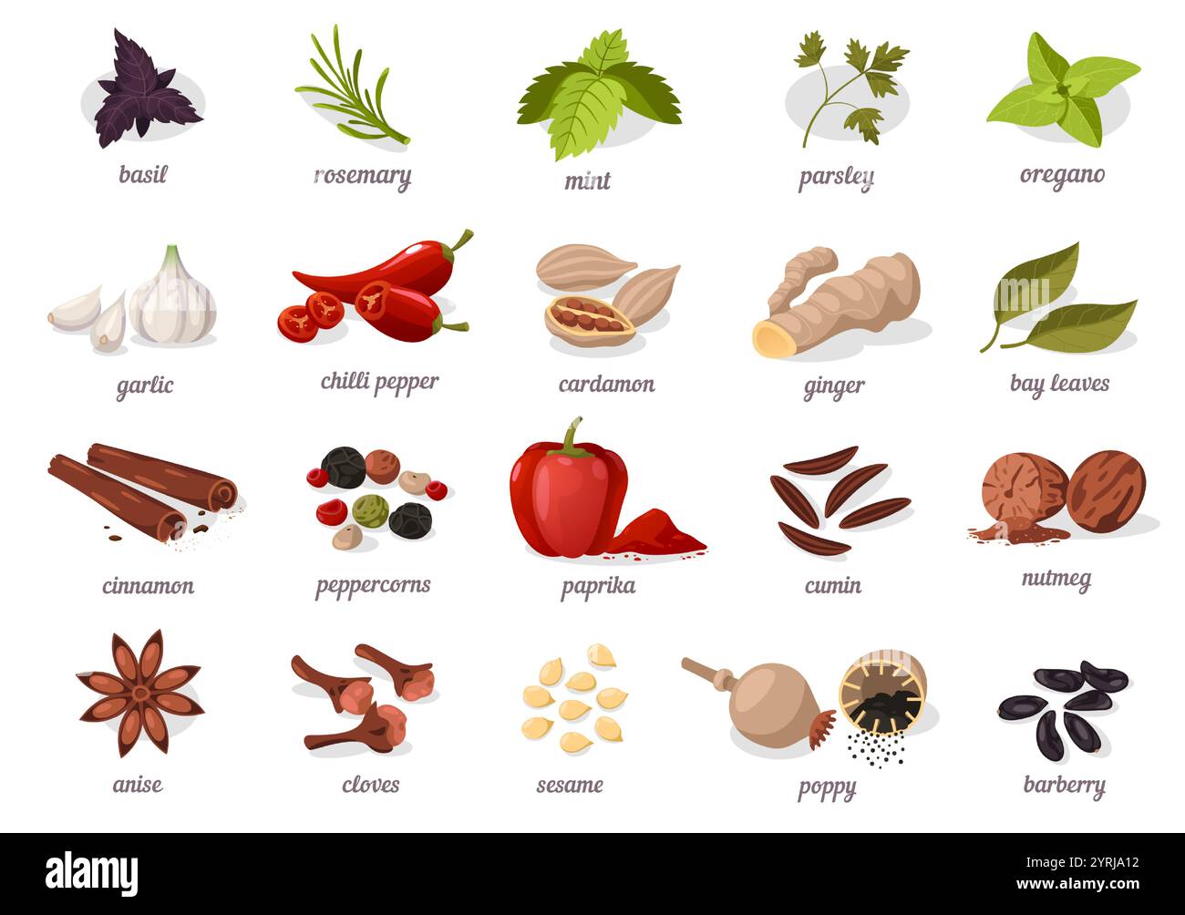 Dried parsley food Stock Vector Images - Alamy