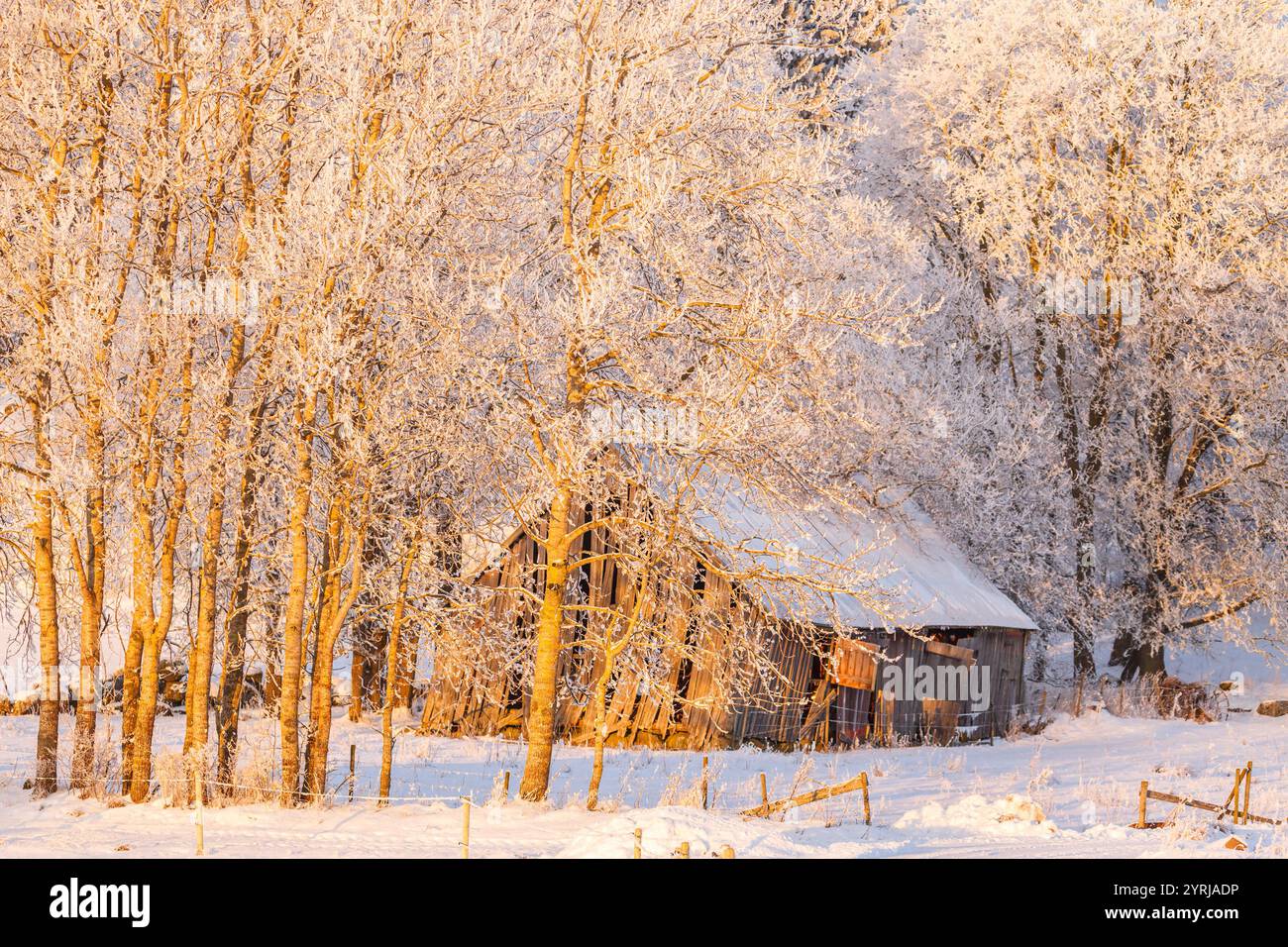 Old snowy barn hi-res stock photography and images - Alamy